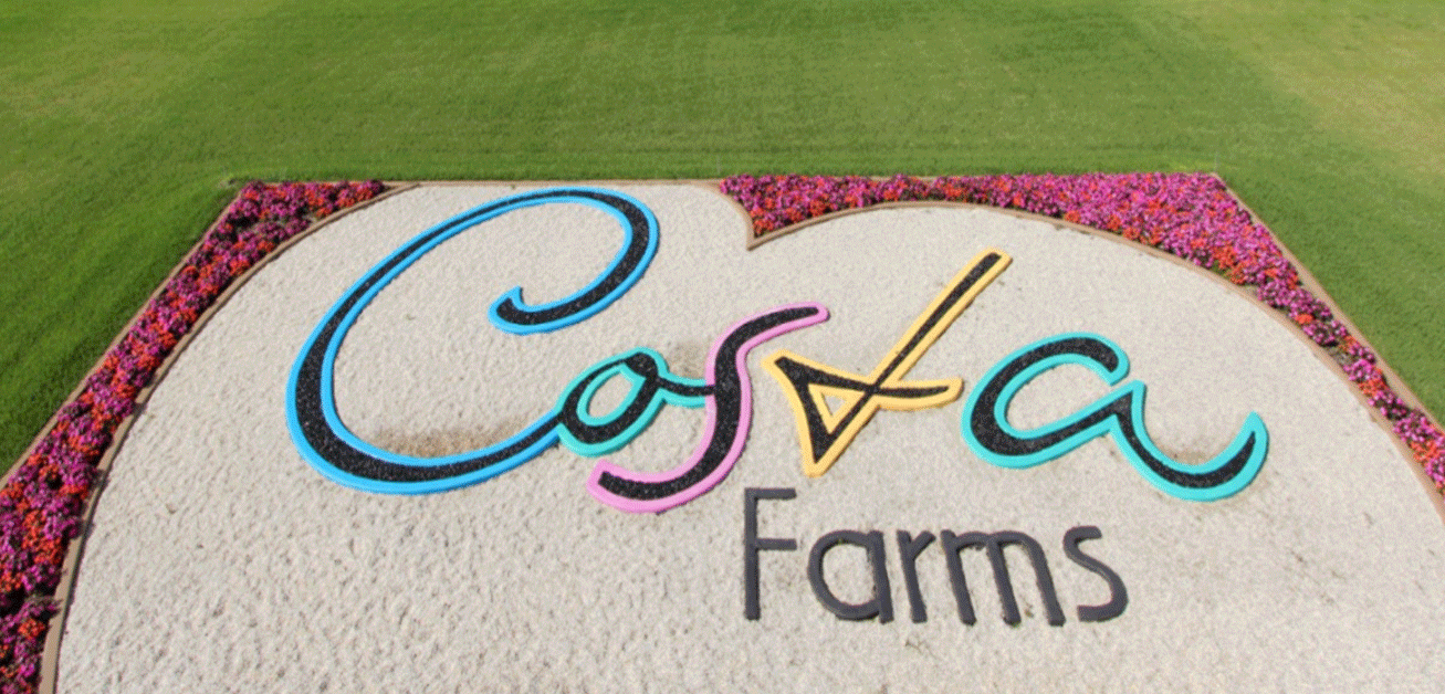 Costa Farms | Rebrand and national campaign launch | Agency Squid ...