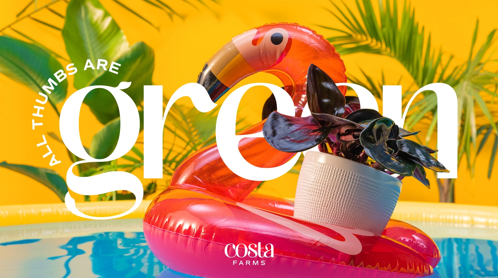 Costa Farms launches national indoor house plant advertising and ...