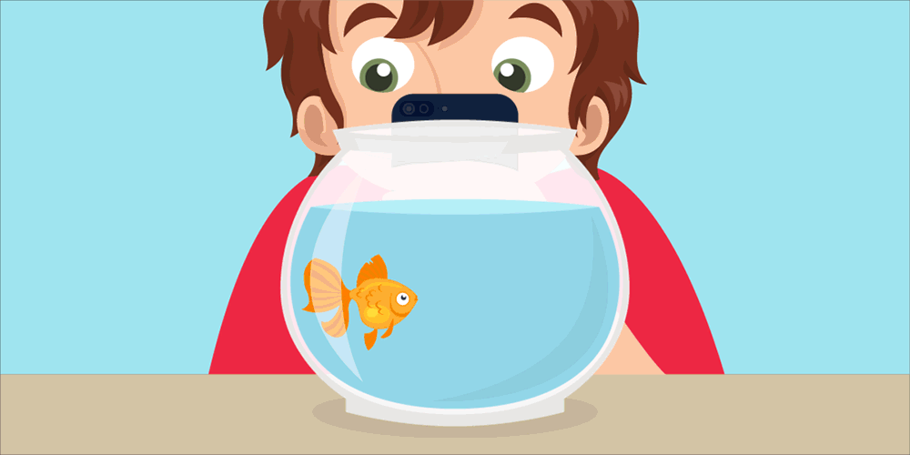 Humans have a shorter attention span than ever