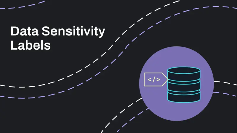 Data Sensitivity Labels