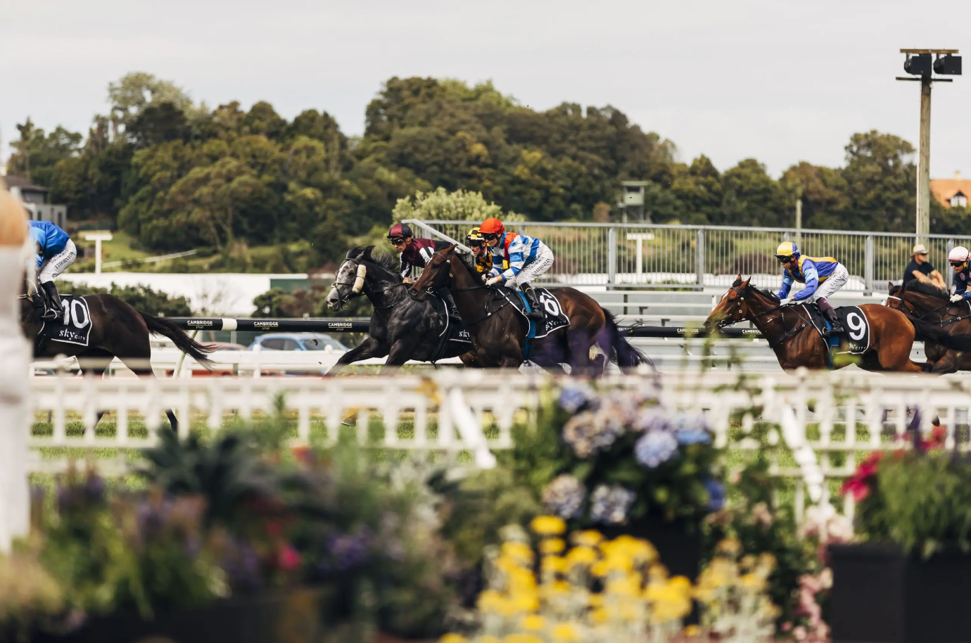 Ellerslie Racecourse - Projects | Harrison Grierson