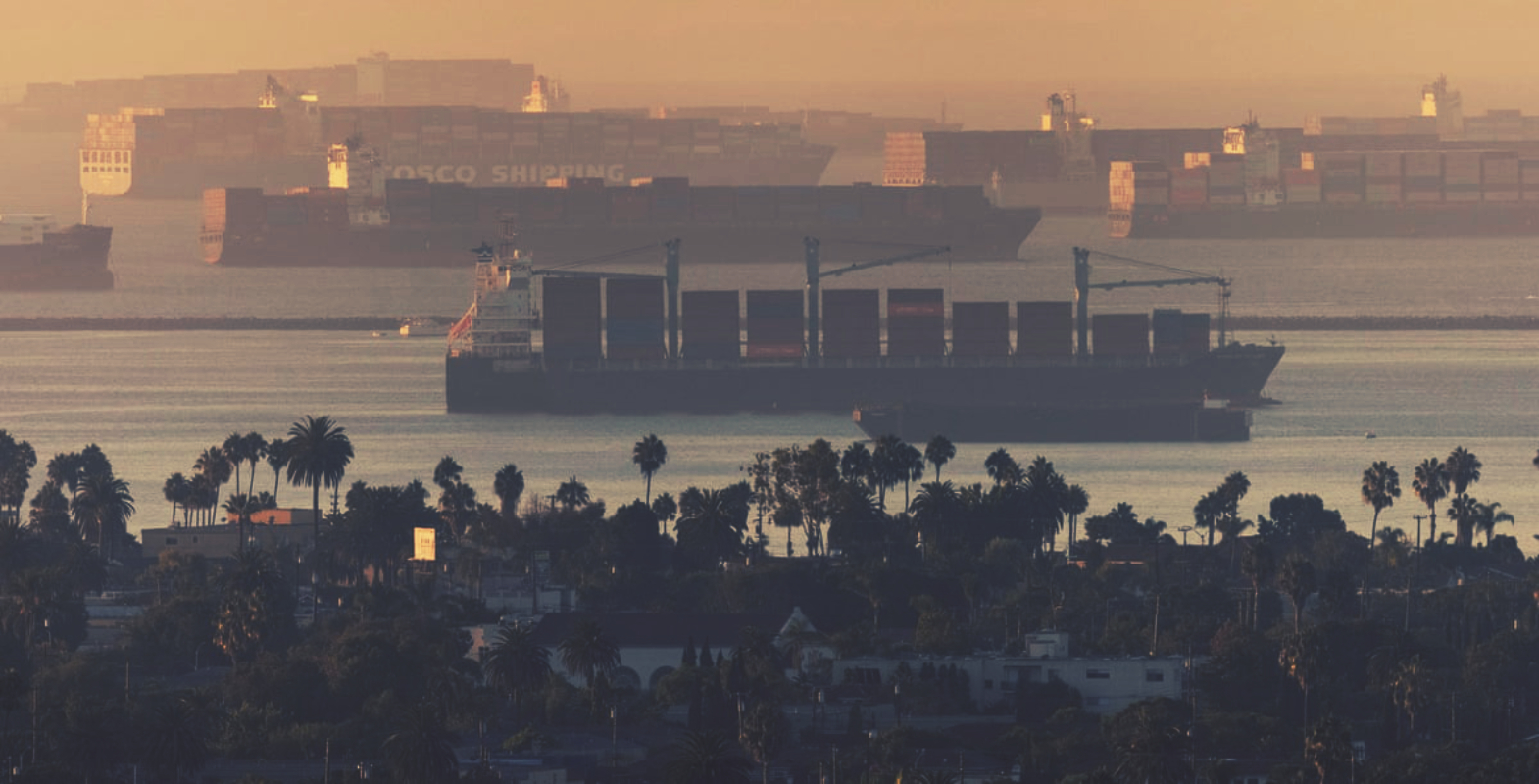 Perspectives on the California Shipping Backlog