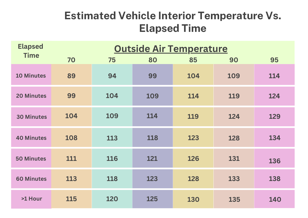 Animal Transporter Guide: Get USDA Registered to Transport Pets