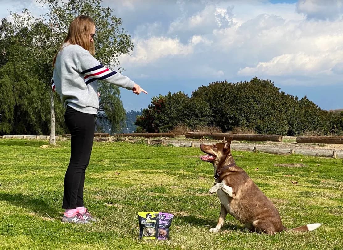 5 Tips to Train Your Dog Like a Pro l Vital Essentials | Vital ...