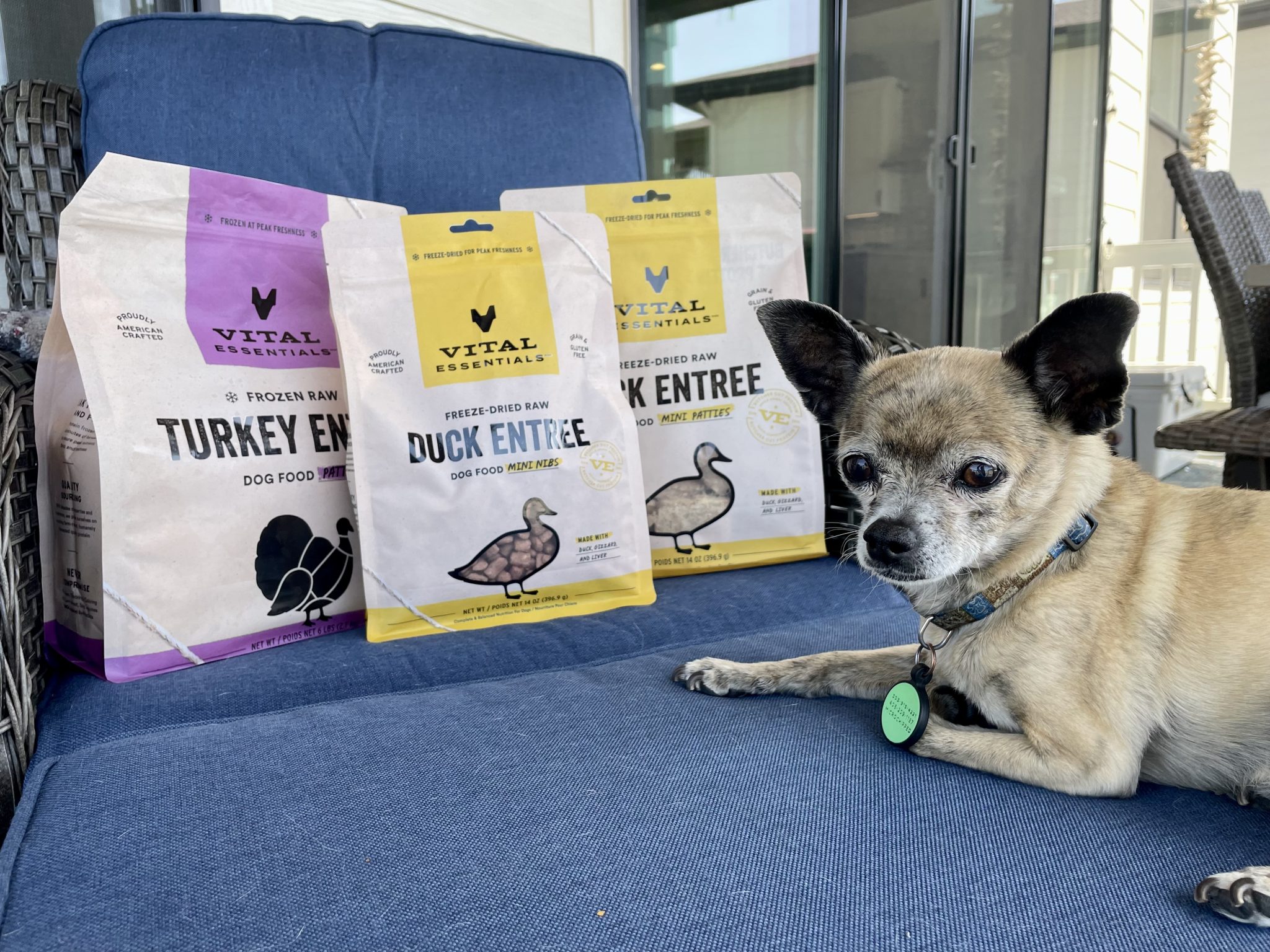 Raw Food for Dogs and Cats | Vital Essentials Raw Pet Food