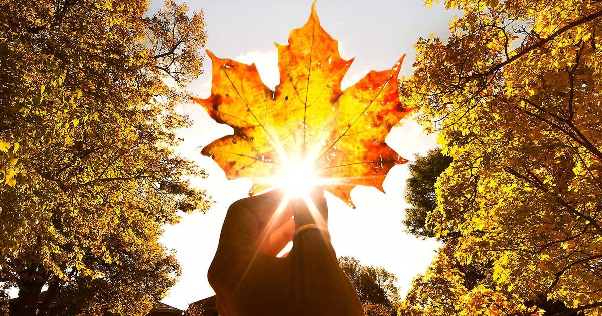 Insurance Bureau of Canada launches “Protecting Your Tomorrow” campaign