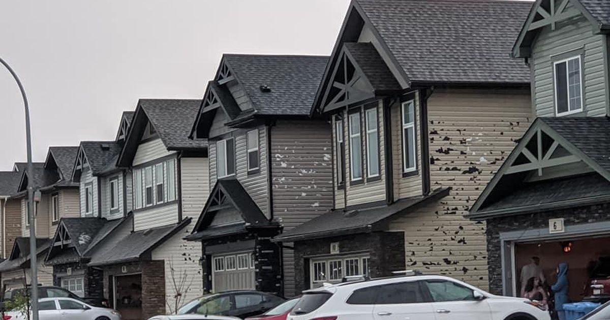 Alberta continues to see large-scale impacts from hailstorms