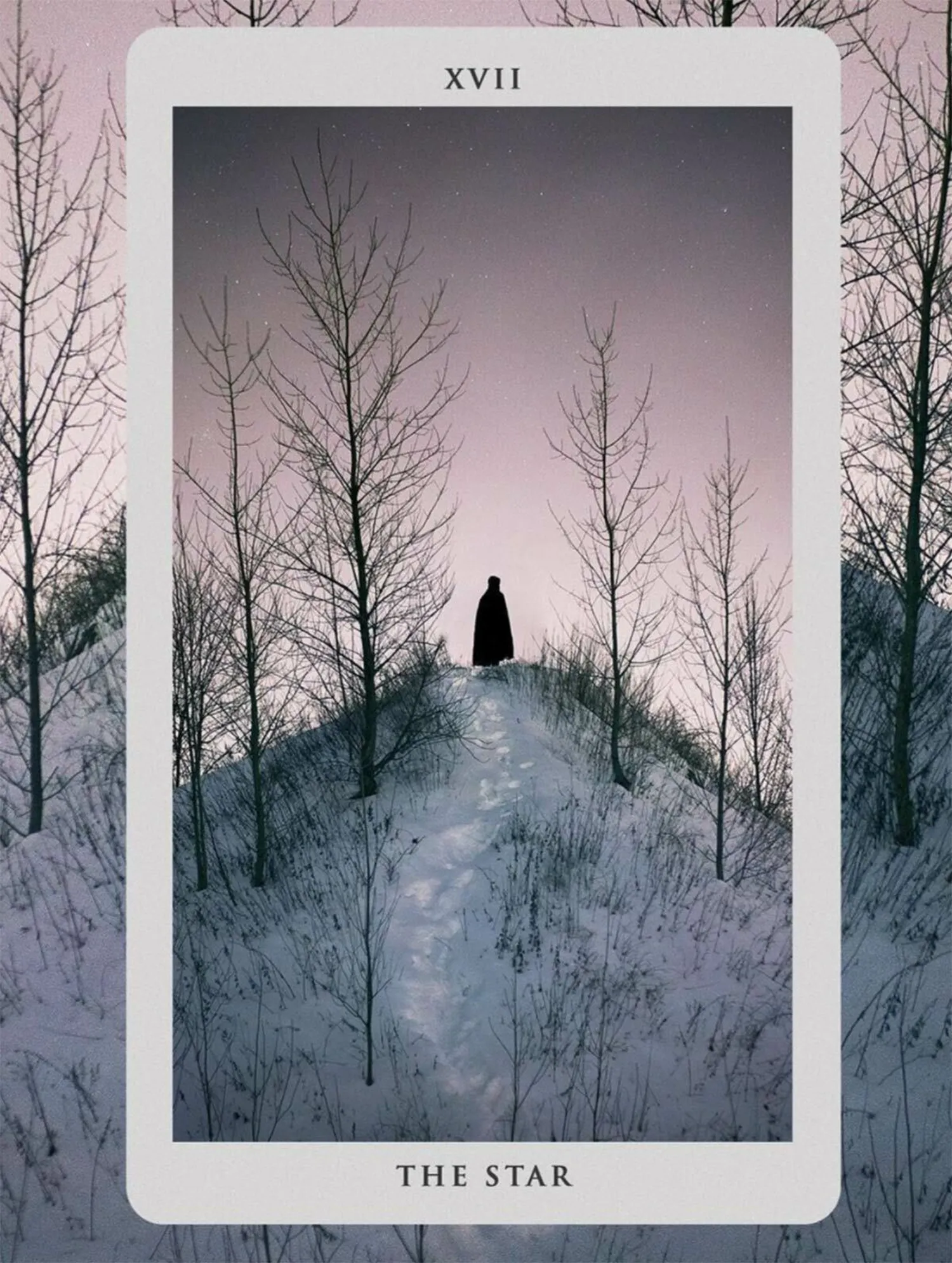 Northport Photographer Creates Tarot Card Imagery Inspired By His Sleep ...
