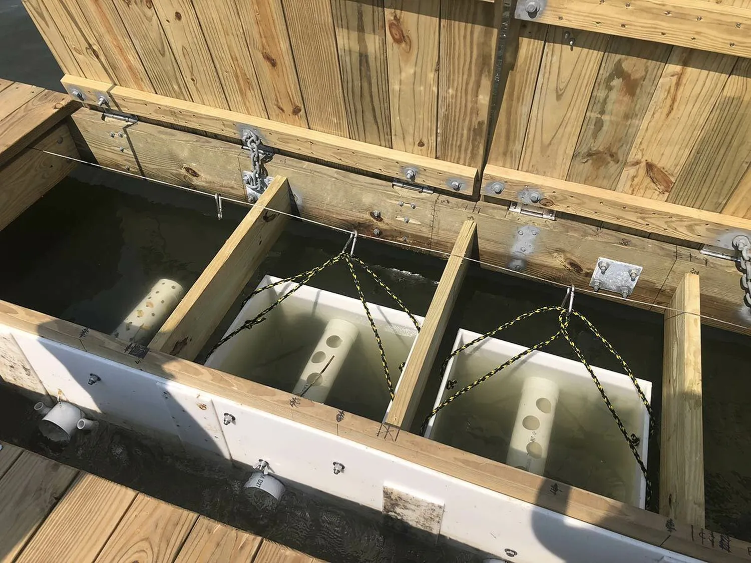 Community-driven FLUPSY floats debut at Woodbine Marina, filtering ...