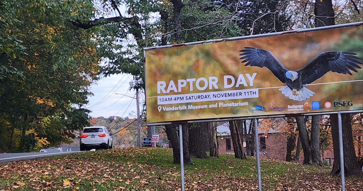Raptor Day: A fun-filled day for families and environmental enthusiasts