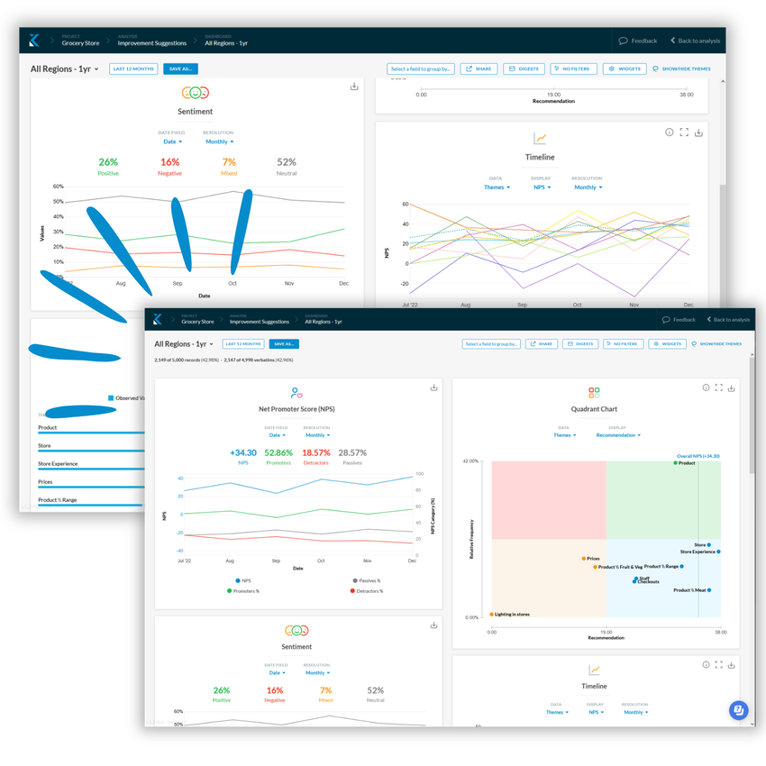 Kapiche Customer Feedback Analysis Software