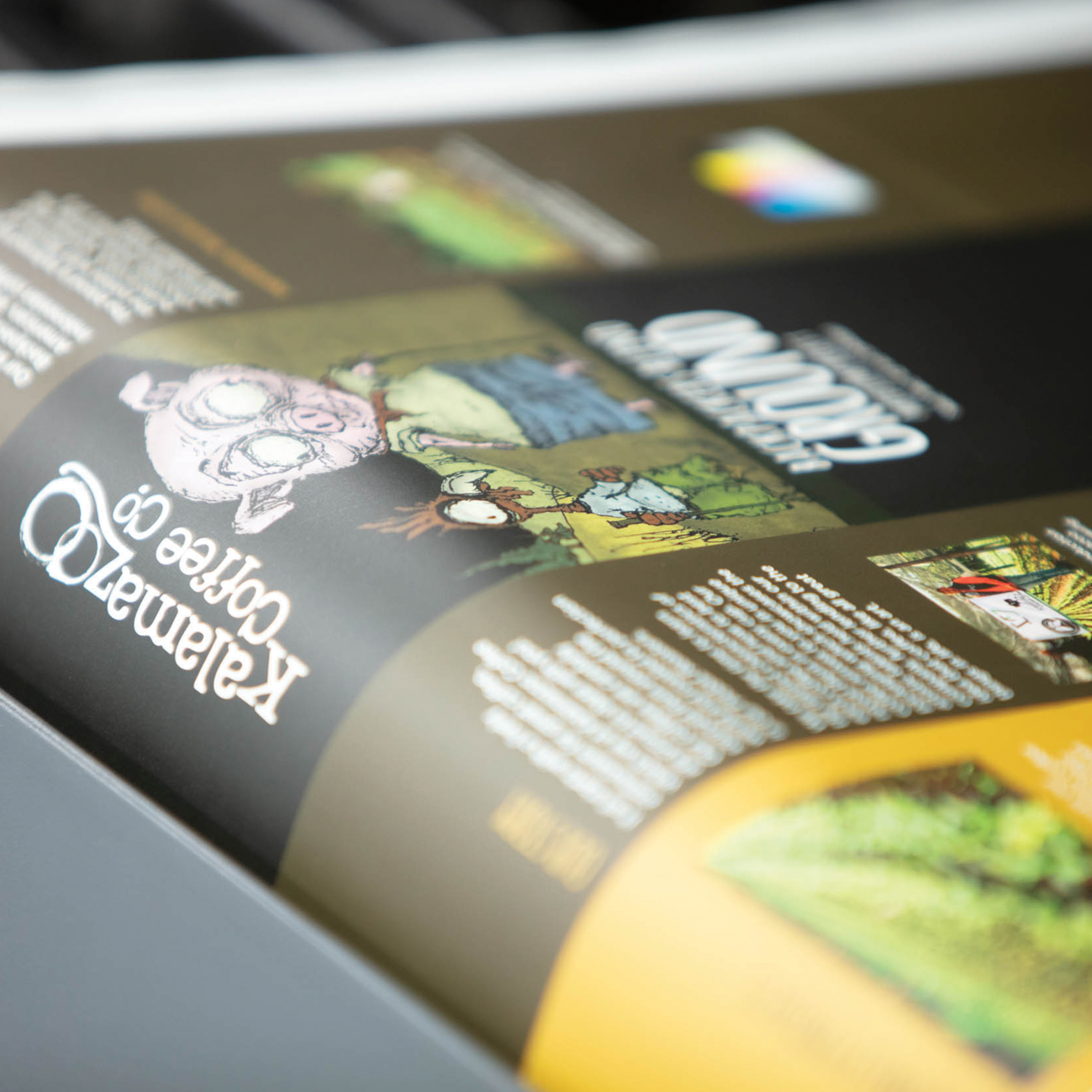 Custom-Printed Roll Stock: Plastic Packaging Roll Film - Roastar