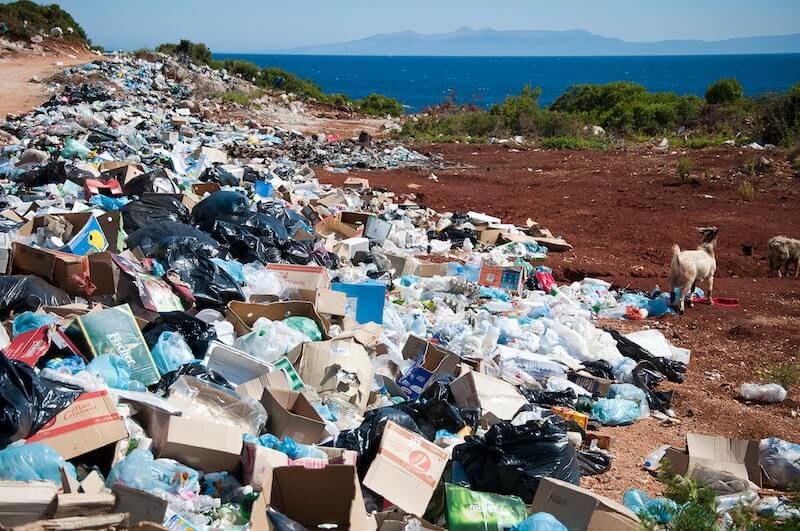 How Long For Trash To Decompose Sourgum Waste