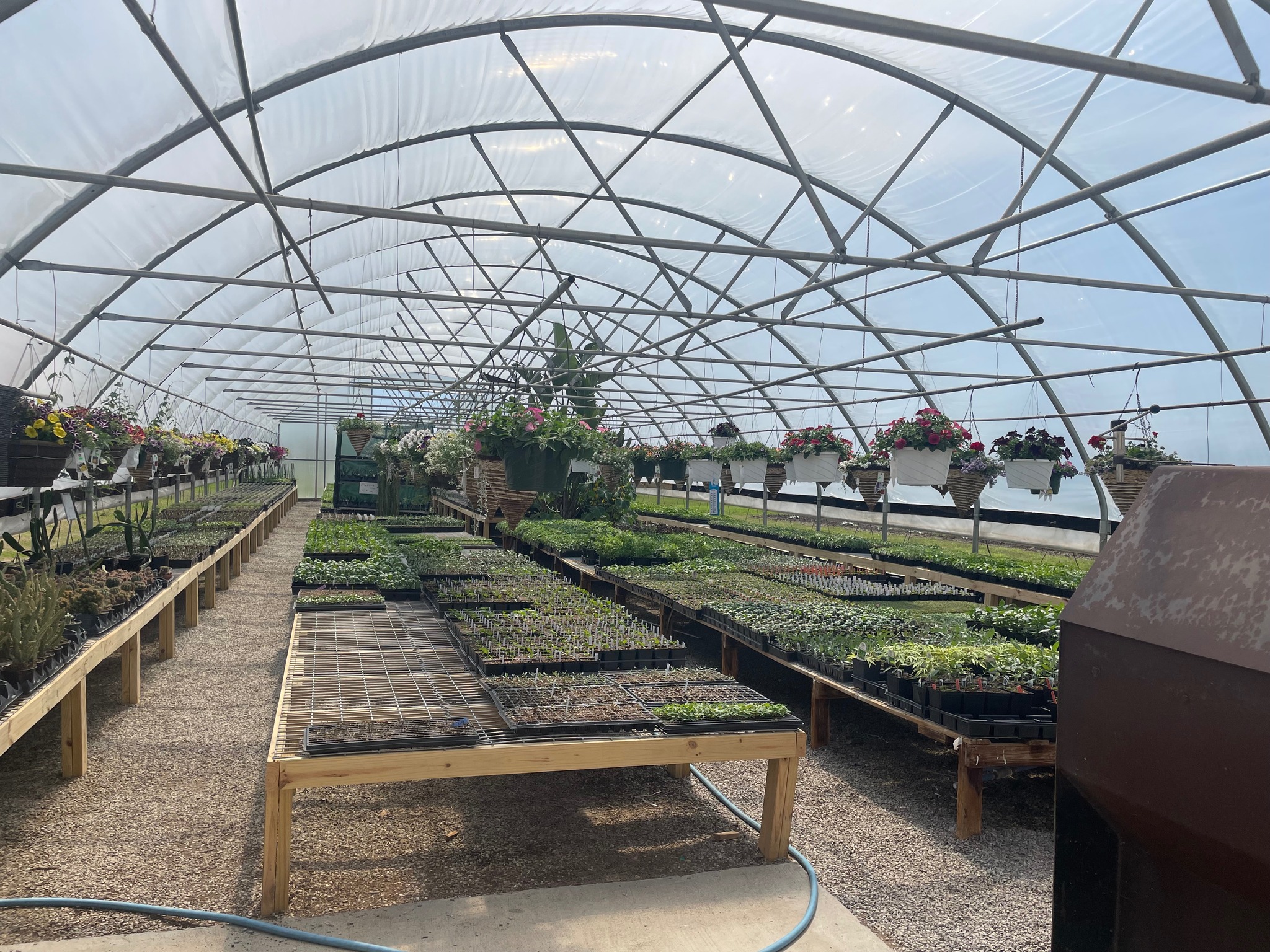 Greenhouse Construction Tips Common Challenges In Greenhouse