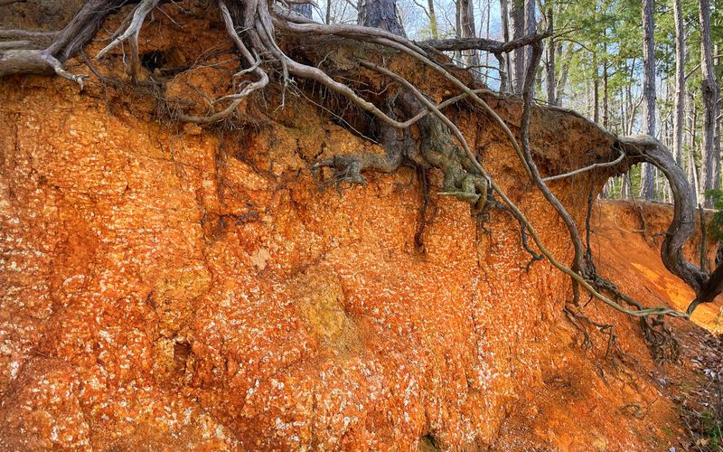 Quick Guide to Permeable Pavers: Benefits, Uses, and Materials