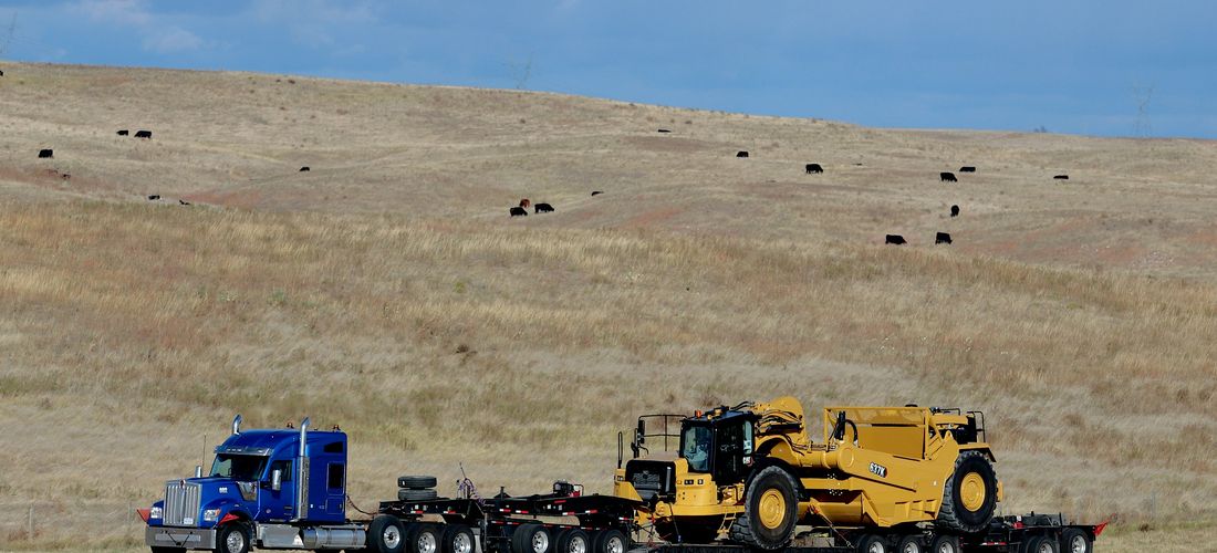 Guide to Cat Scrapers: Features, Applications, and Maintenance Tips