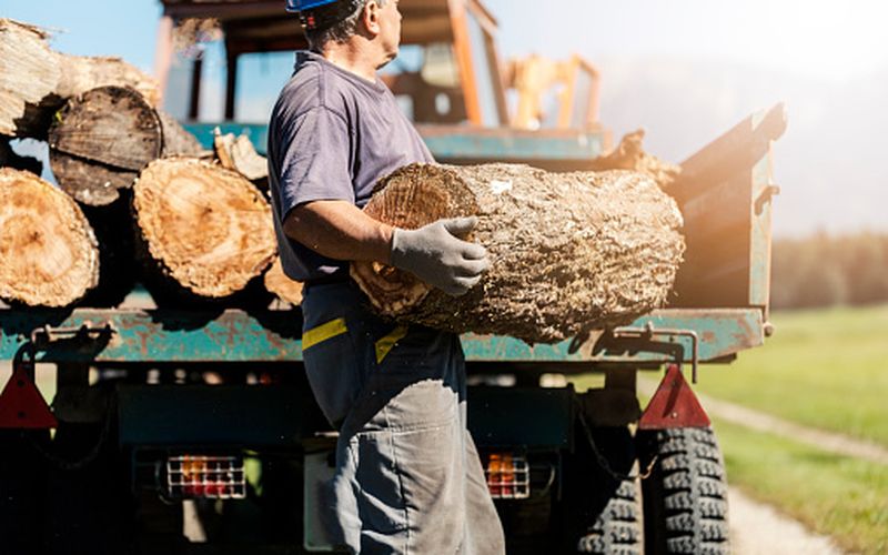 The Log Trailers That Will Help You Transport Timber