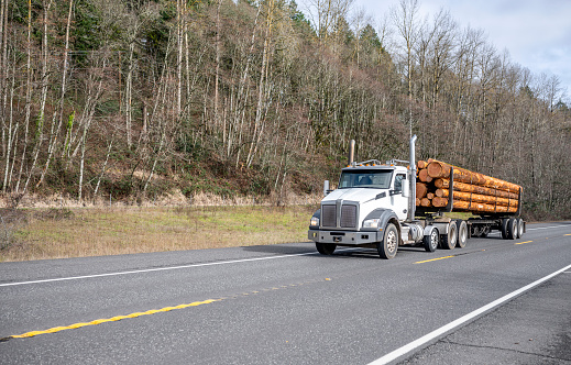 The Log Trailers That Will Help You Transport Timber
