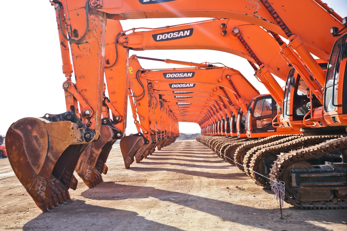 The Ultimate Guide to Buying and Using Bobcats