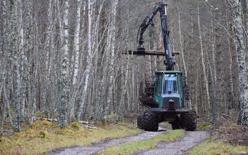Quick Guide: Tigercat Forestry Equipment - Boom & Bucket