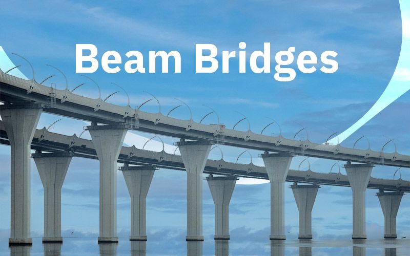 Exploring the Art and Engineering of Bridges Across Ages and Styles