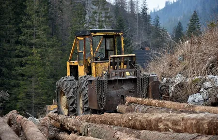 Forestry Equipment: A Comprehensive Overview - Boom & Bucket