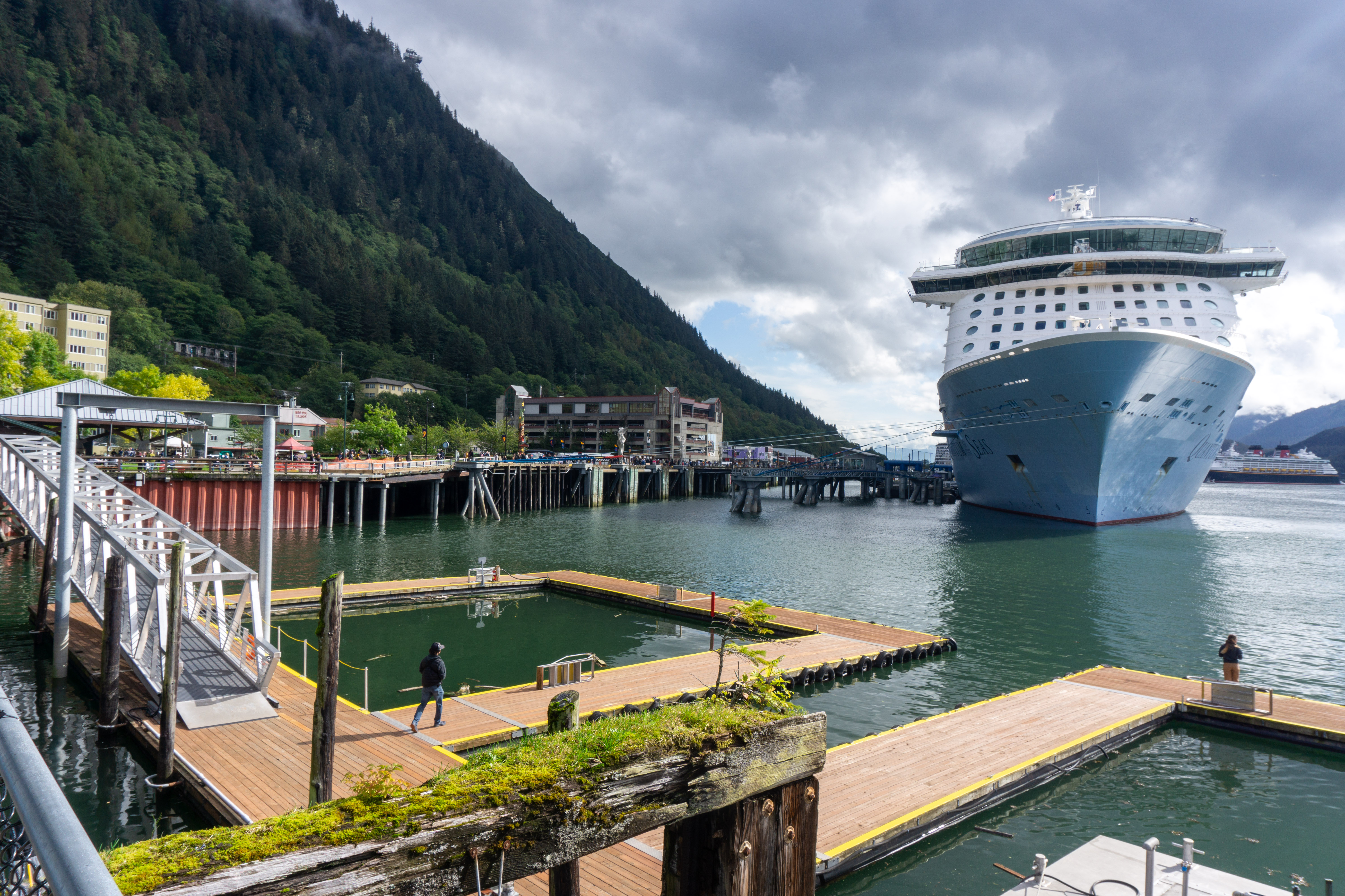 Juneau Alaska Cruise Ship Juneau | Stray Nomad Travel News