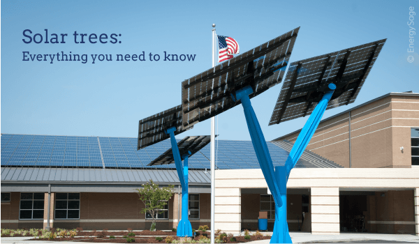 Solar Trees: Product Overview, Pricing and Review | EnergySage