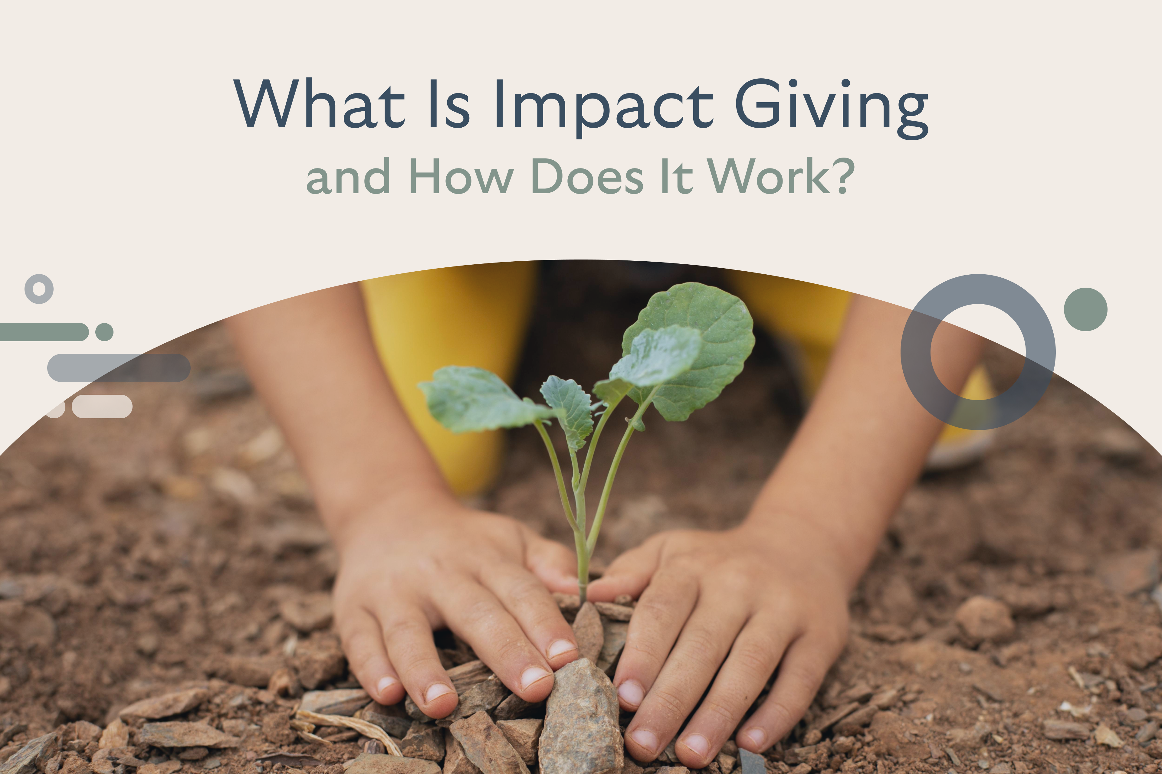 What Is Impact Giving and How It Works?