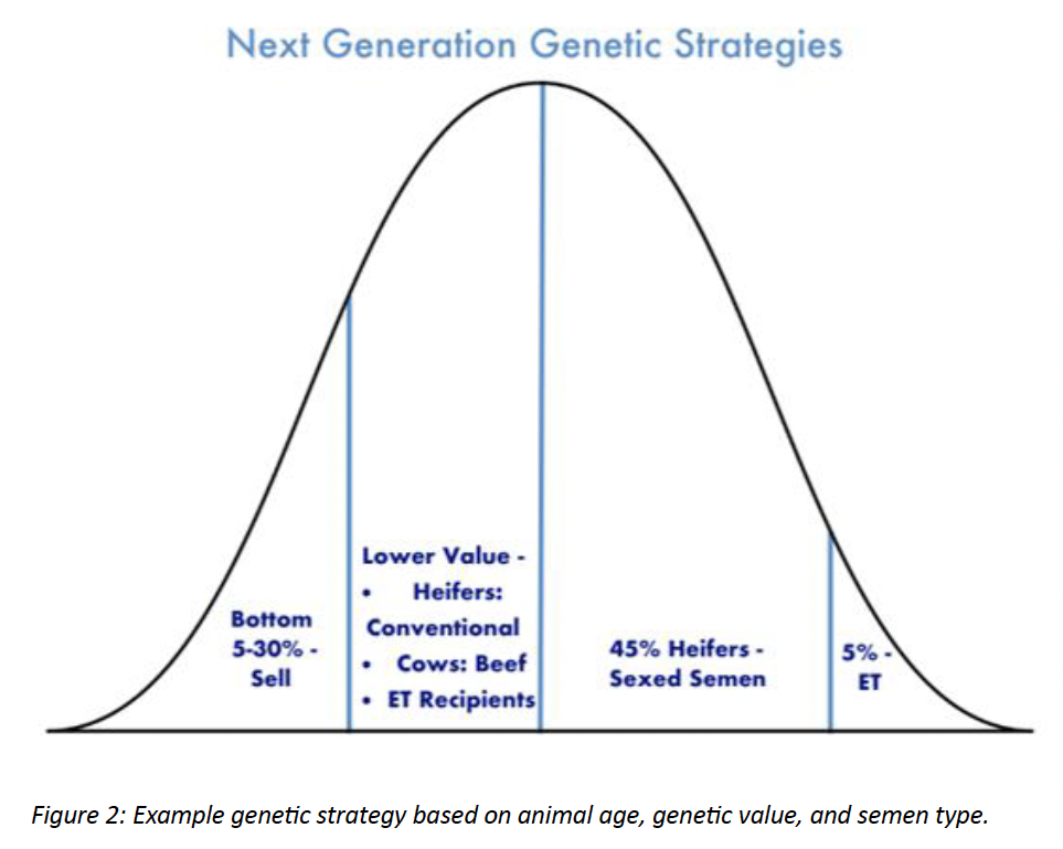 World Wide Sires | The Practice of Genetic Culling