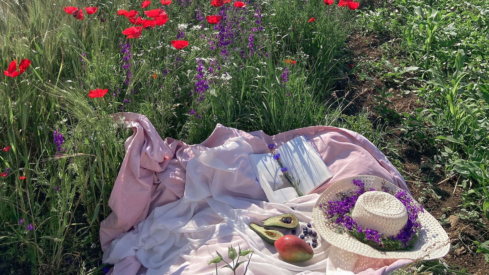 How to use the interrogative pronouns ‘qui,’ ‘que,’ ‘quoi,’ and ‘lequel ...