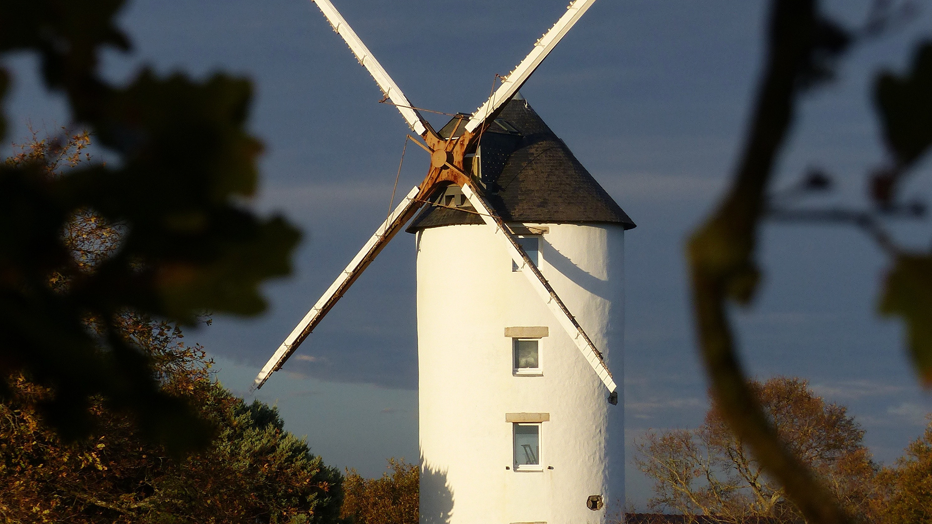 How to use causative constructions in French?