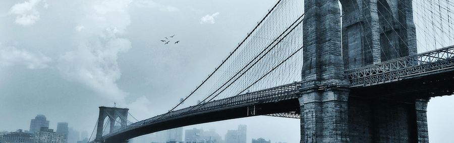 Study Resource: Quantity words for describing nouns in English