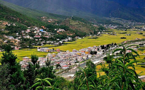 Save an endangered language: learn Dzongkha