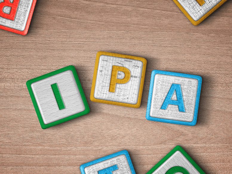 The Building Blocks of Speech (how to use the IPA!)