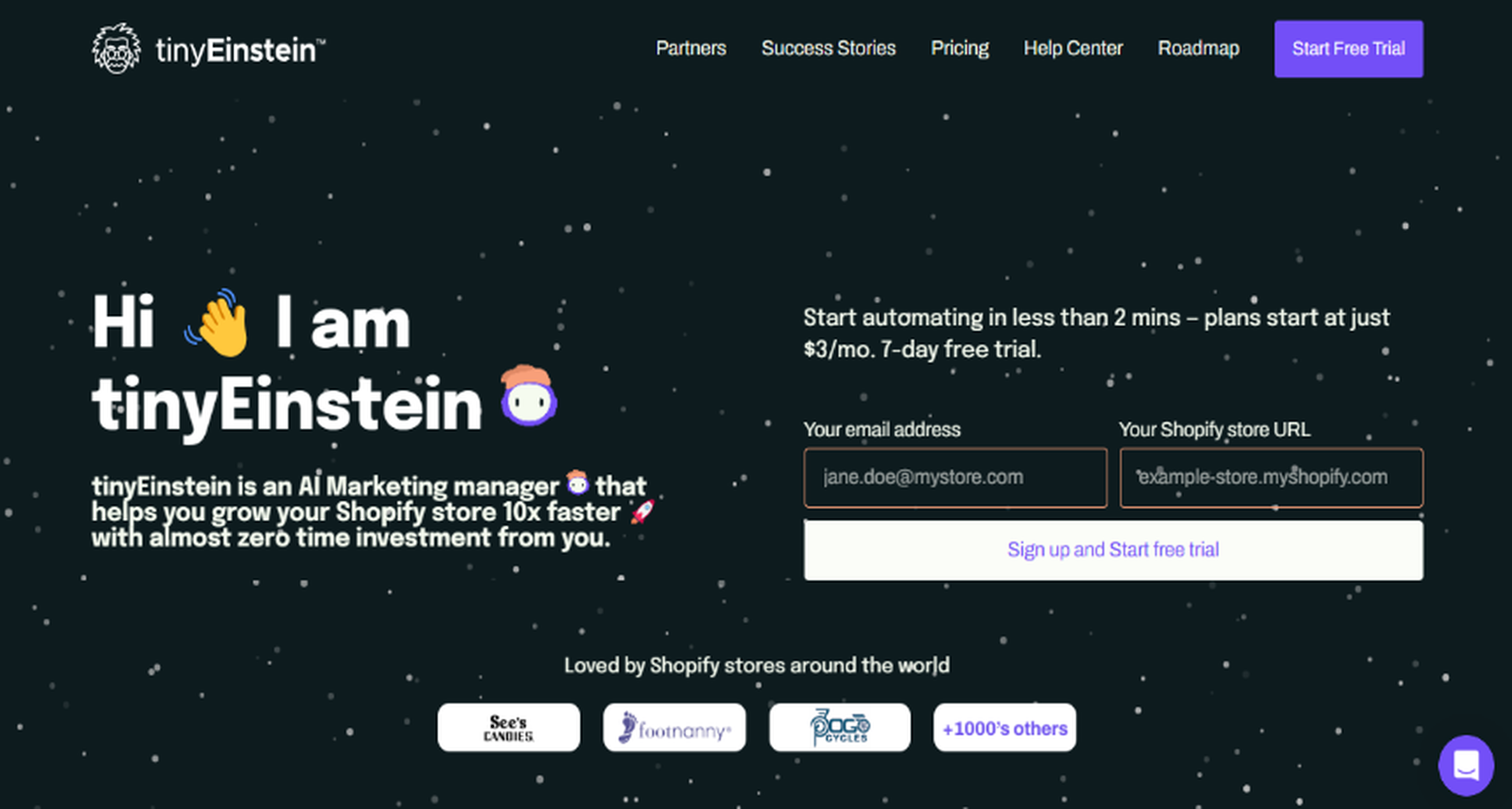 tinyEinstein: Shopify AI Marketing Automation | Top AI Tools