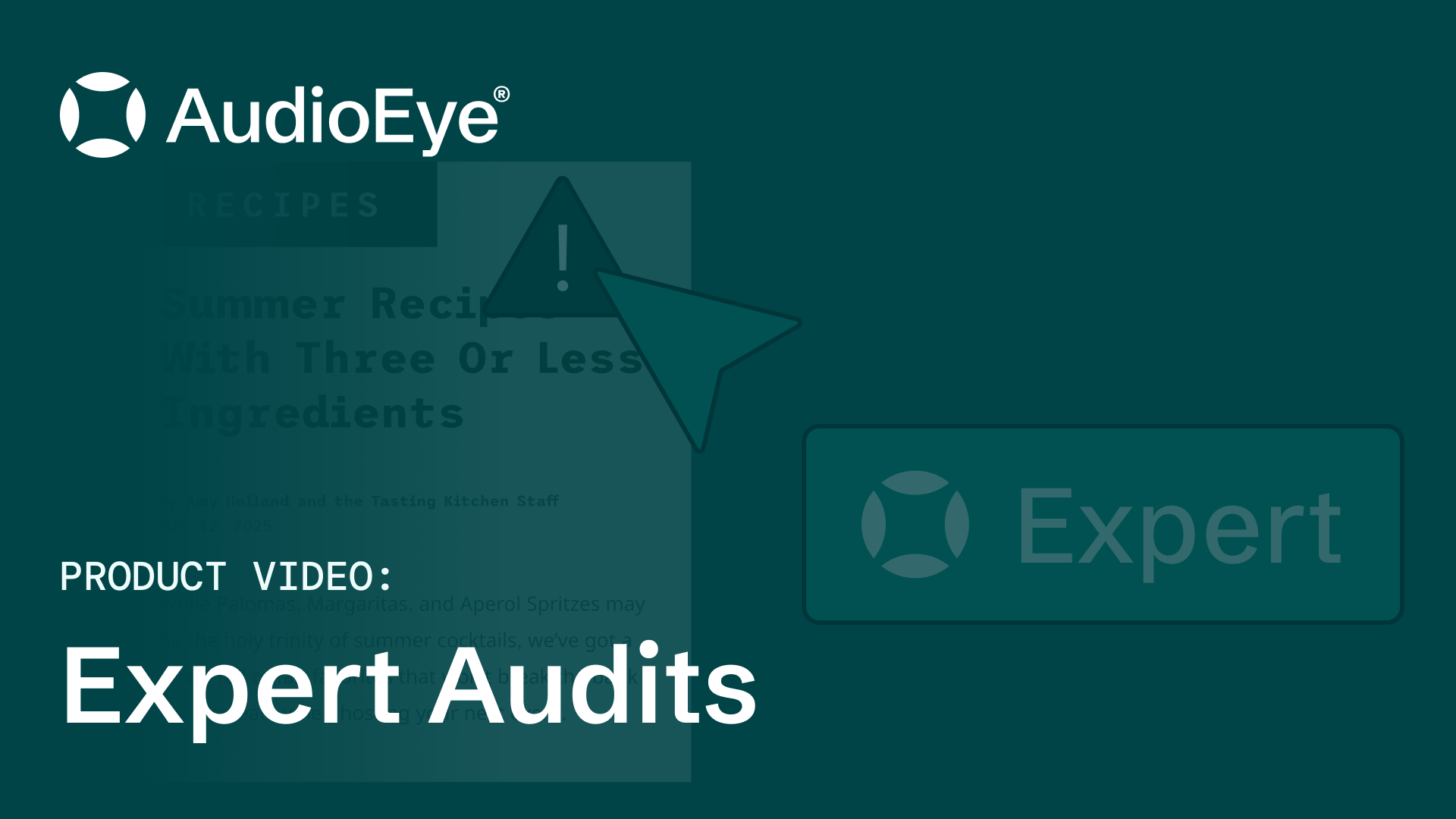 AudioEye's Expert Audits | Demo