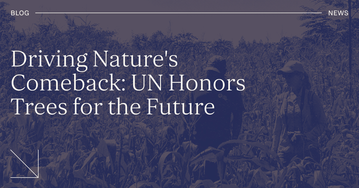 Driving Nature's Comeback: UN Honors Trees for the Future