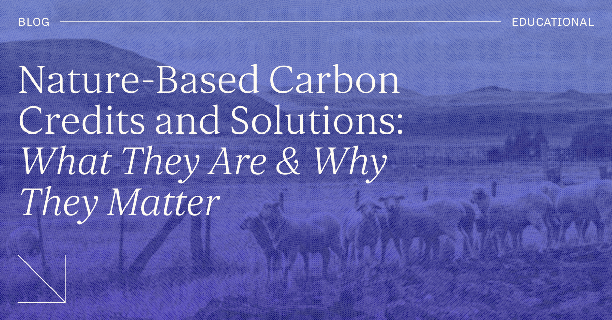 What are Natured-Based Solutions, and Why do they Matter?
