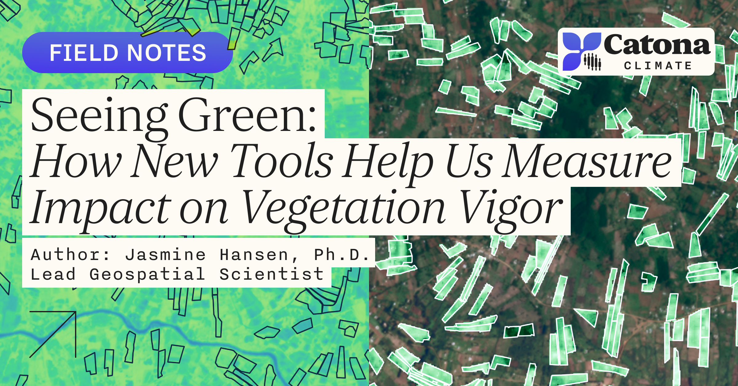 Monitoring Impact on Vegetation Vigor