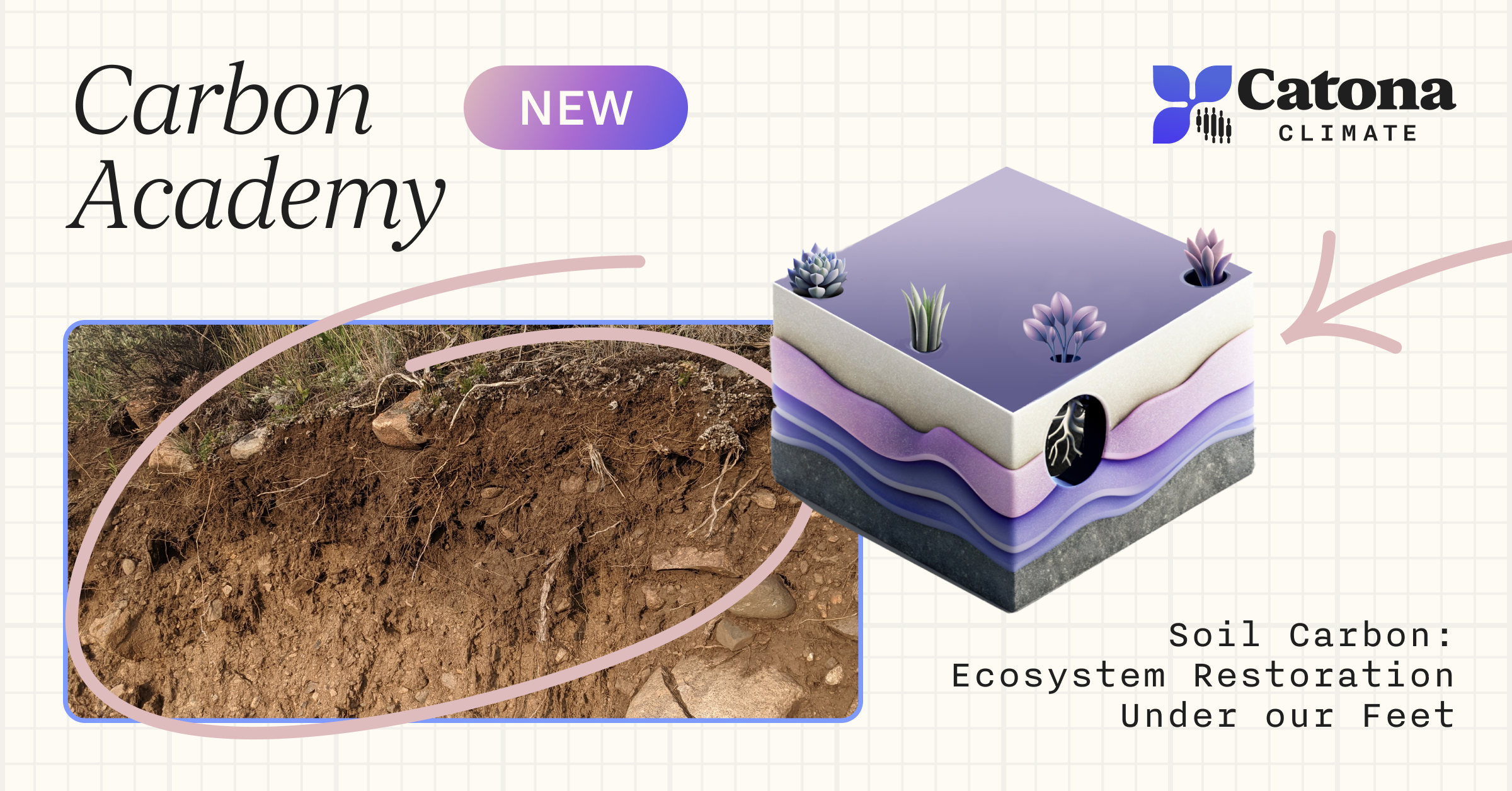 Soil Carbon: Ecosystem Restoration Under our Feet