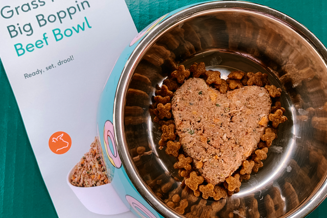 What to feed with the Lyka Half Bowl plan | Lyka Blog