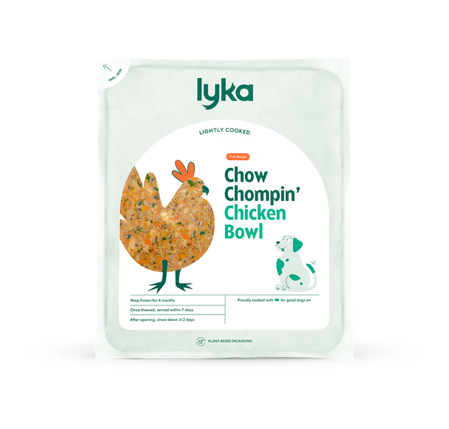 Life-changing dog food | Lyka Pet Food