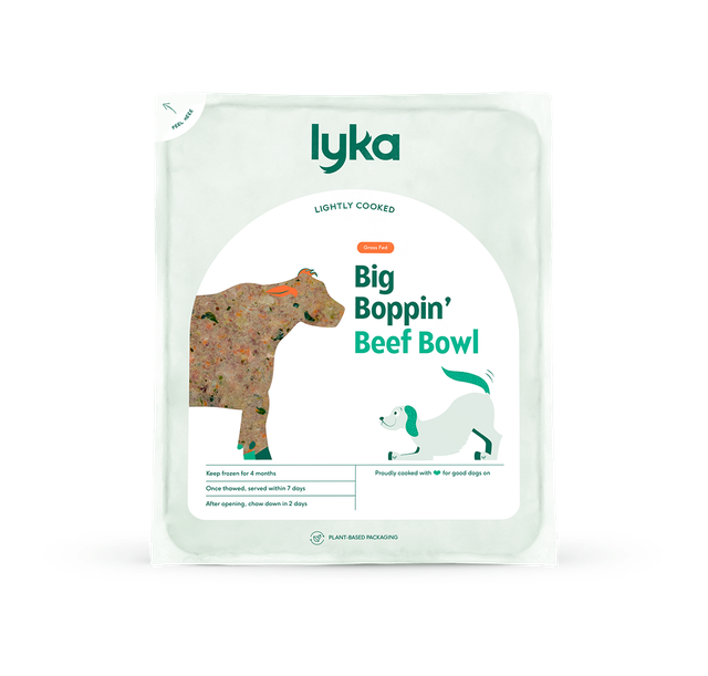 Healthy & Natural Human-Grade Dog Food | Lyka Pet Food | Lyka Pet Food