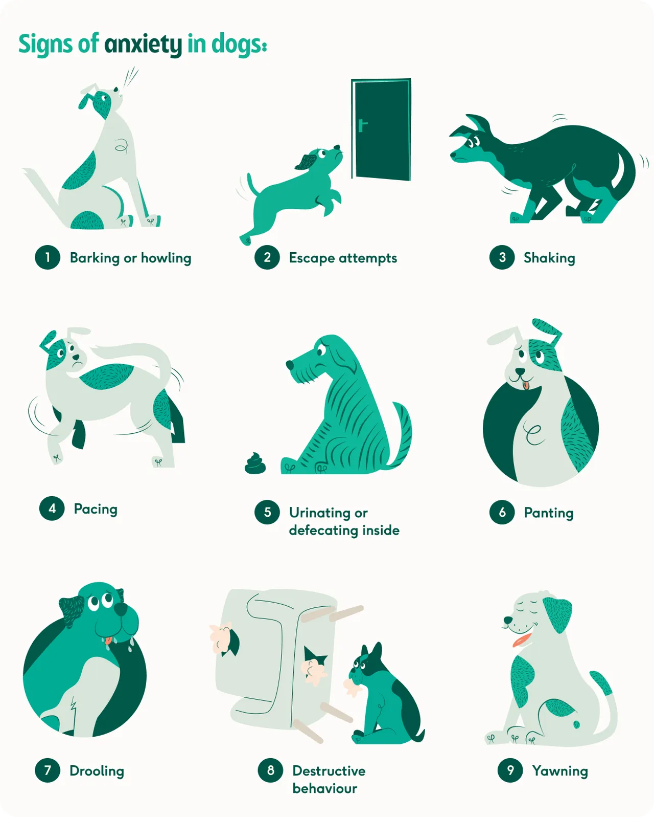 Top 5 types of dog anxiety and how to treat them naturally | Lyka Blog