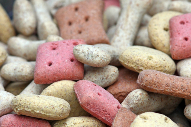 Shocking ingredients in pet-grade dog food | Lyka Blog