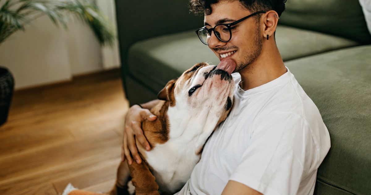 How to overcome fussiness with tips from real pupper parents | Lyka Blog