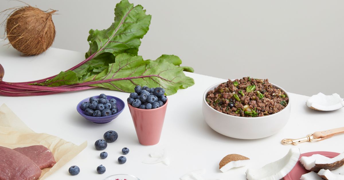 What should fresh dog food look like? | Lyka Blog