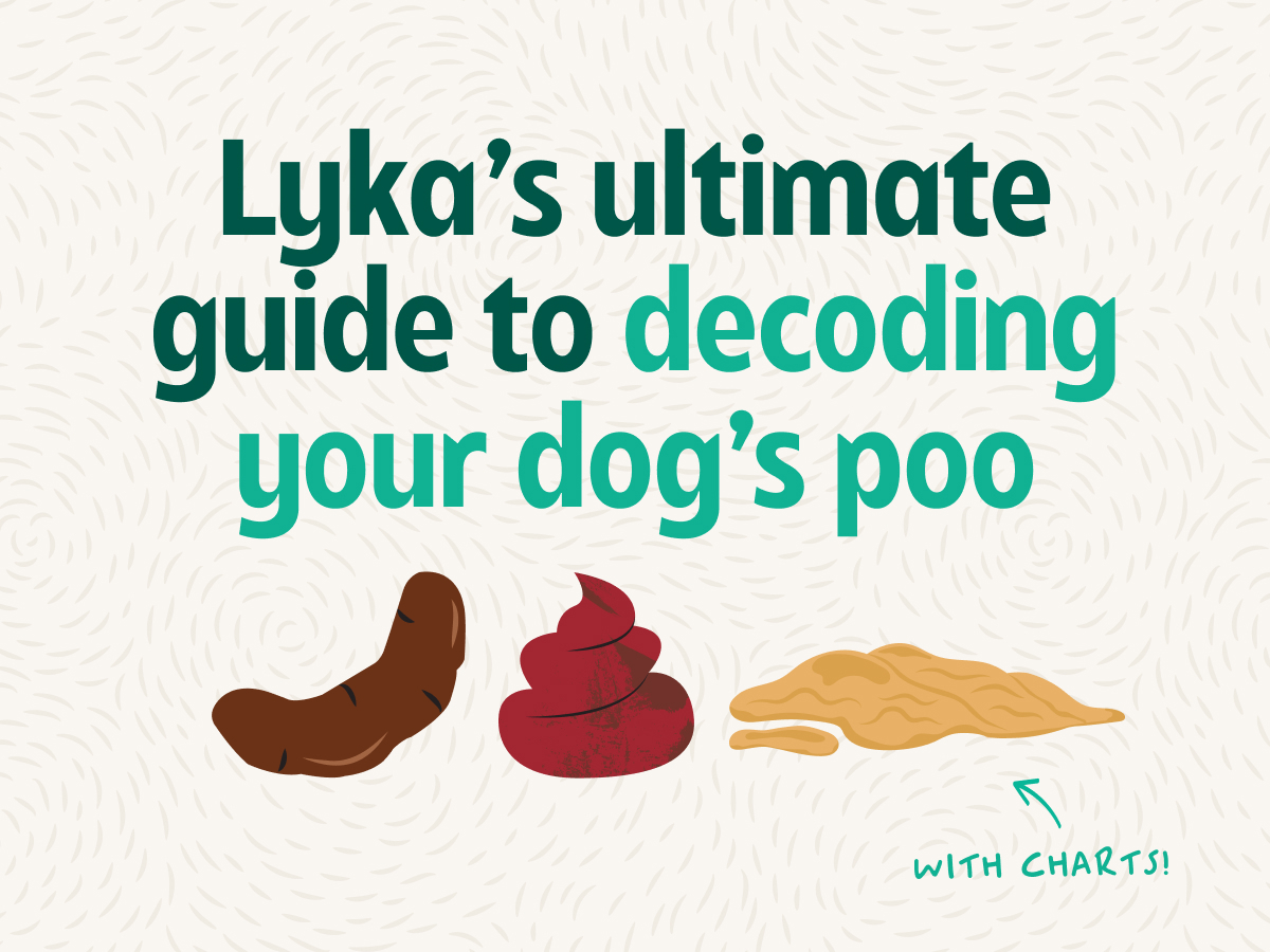 The Poop List