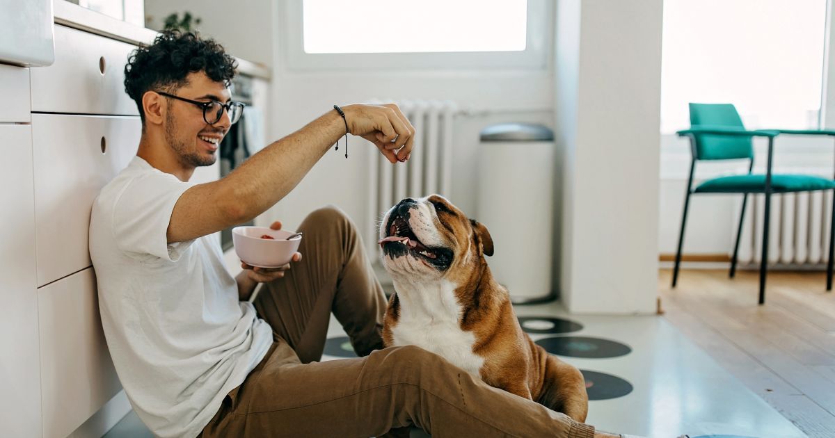 Improve your dog's gut health: a vet's guide to the microbiome | Lyka Blog